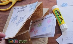Preschool Snow Activities and Printable Nature Journal - Homeschool ...