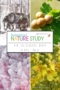 January Nature Studies Perfect for Winter Homeschooling - Homeschool ...