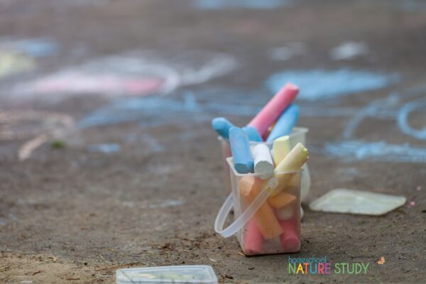 7 Fun Science Experiments for Preschoolers - Homeschool Nature Study