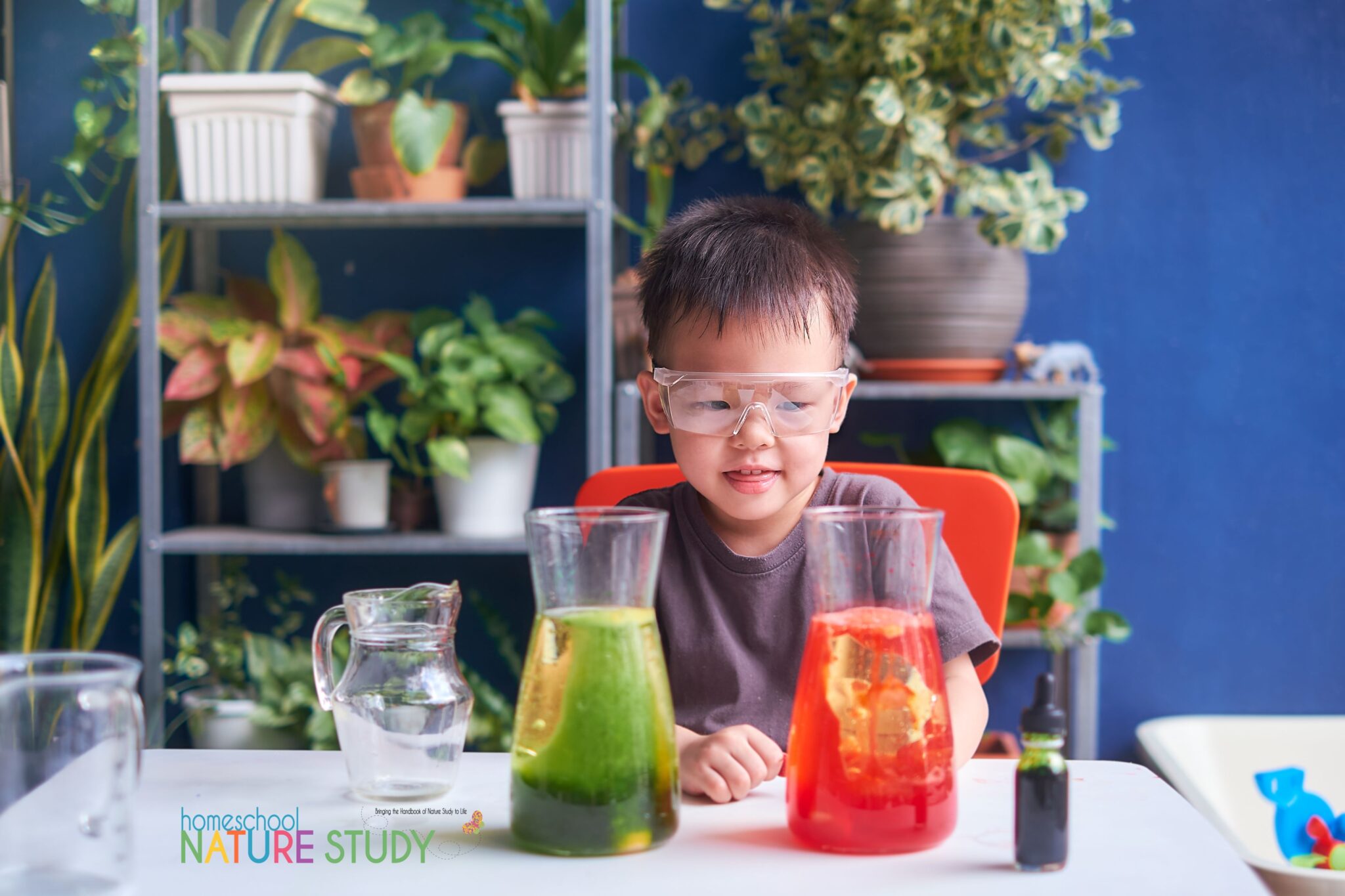 7 Fun Science Experiments for Preschoolers - Homeschool Nature Study