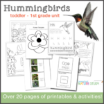 Hummingbird Nature Study Activities For Kids - Homeschool Nature Study