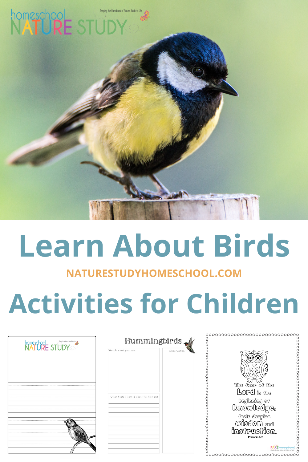 Posts - Homeschool Nature Study
