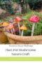 Mushroom Nature Study: Autumn Homeschooling Resources - Homeschool ...