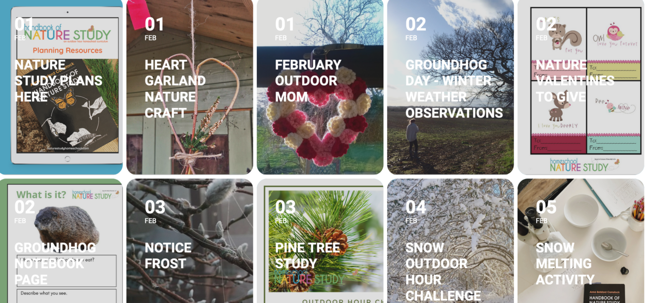 The Ultimate Nature Study Guide for Homeschoolers - Homeschool Nature Study