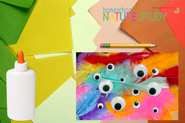 Learn About Birds: Activities for Young Children - Homeschool Nature Study