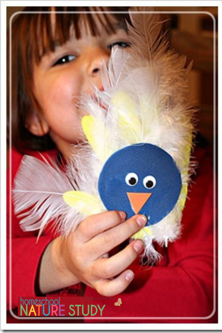 Learn About Birds: Activities for Young Children - Homeschool Nature Study