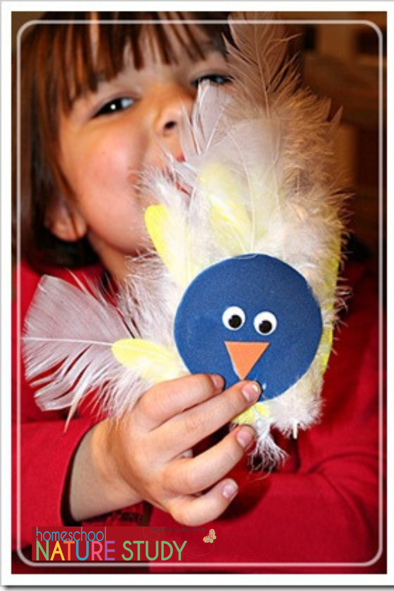 Learn About Birds: Activities for Young Children - Homeschool Nature Study