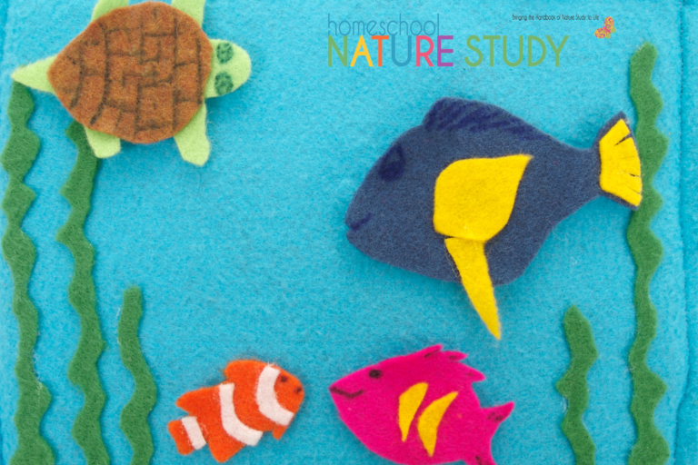 Fun Fish Activities For Preschoolers - Homeschool Nature Study