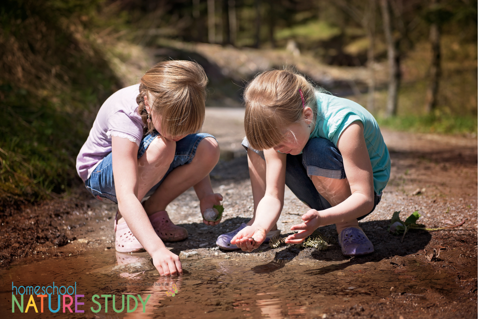 Frogs and Toads: Learning Activities For Kids - Homeschool Nature Study