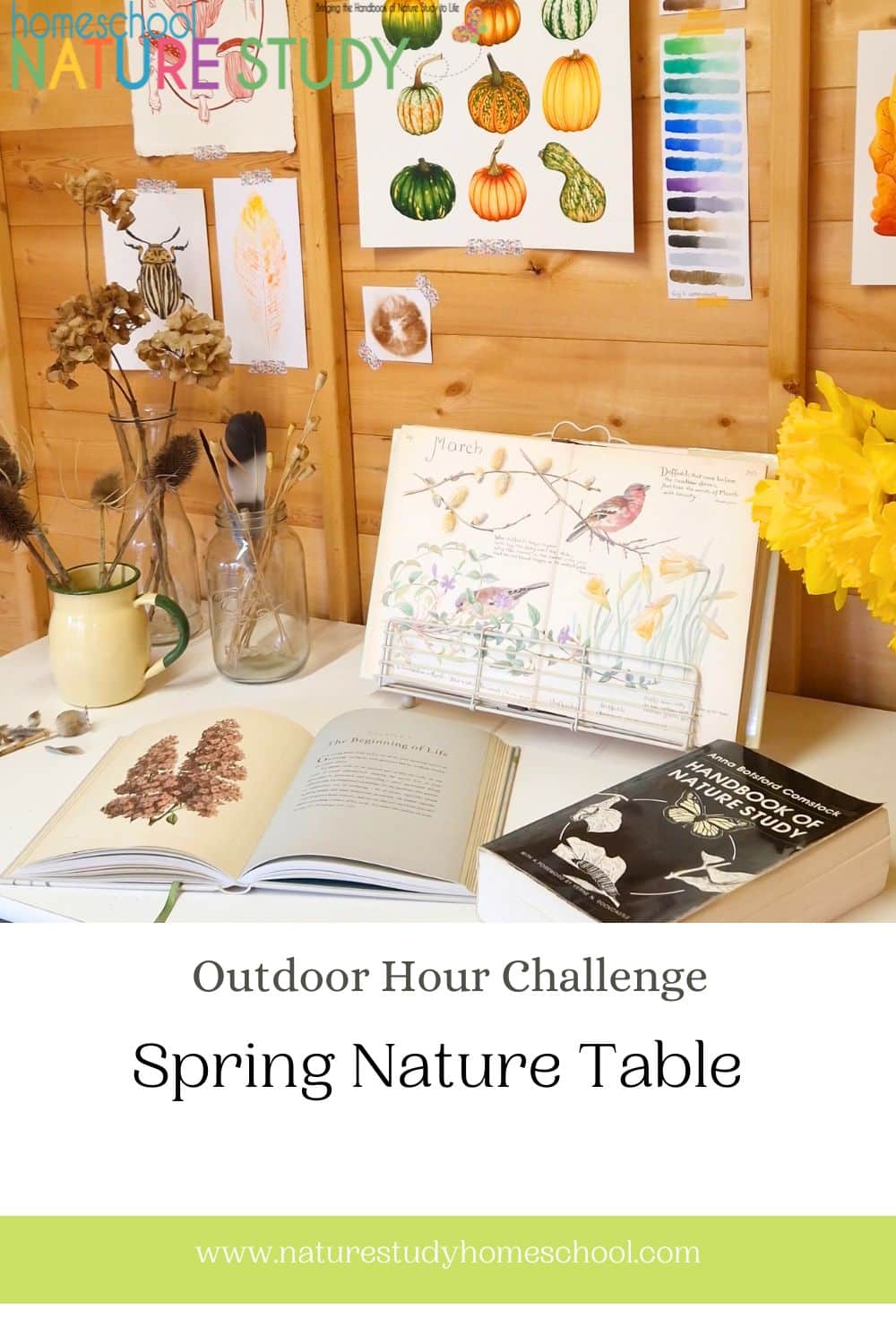 Guide to Spring Nature Study in Your Homeschool - Homeschool Nature Study