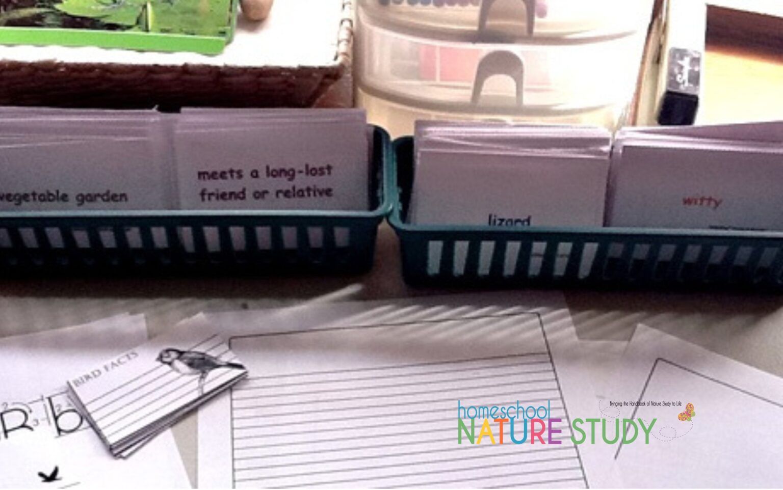 Learn About Birds: Activities for Young Children - Homeschool Nature Study