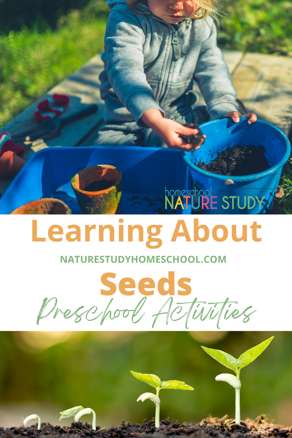 Learning About Seeds Preschool Activities - Homeschool Nature Study