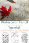 Watercolor Pencil Tutorial - Homeschool Nature Study