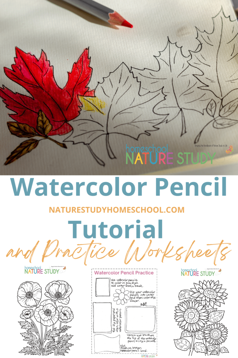 Watercolor Pencil Tutorial - Homeschool Nature Study