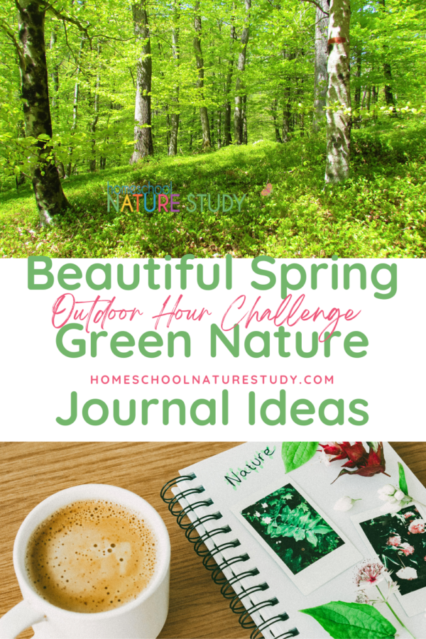 Posts - Homeschool Nature Study