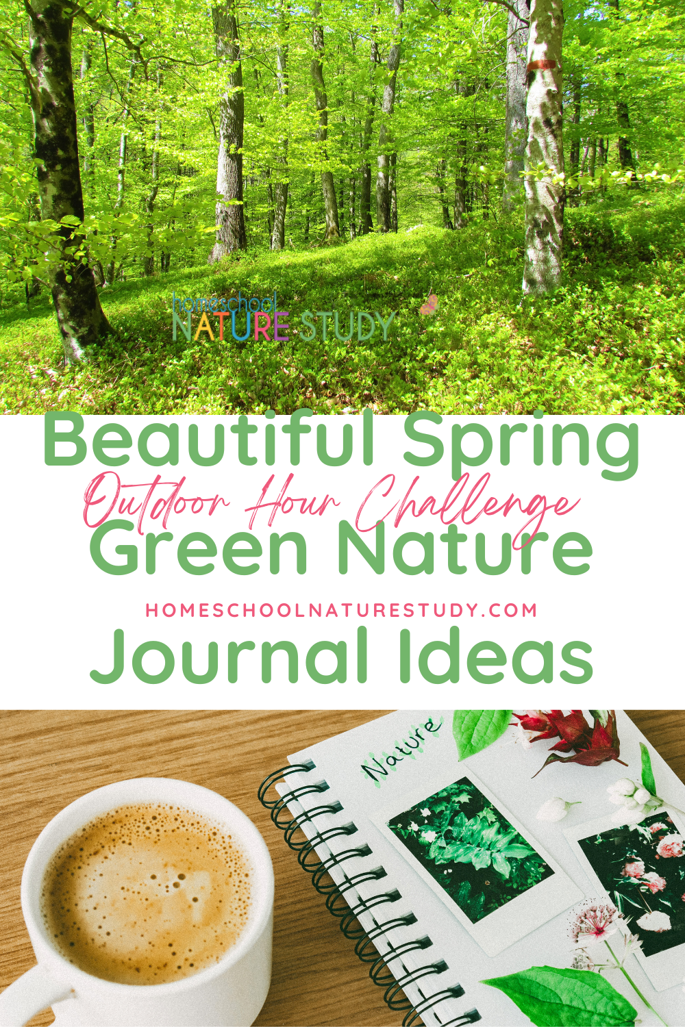 Nature Journal Archives - Homeschool Nature Study
