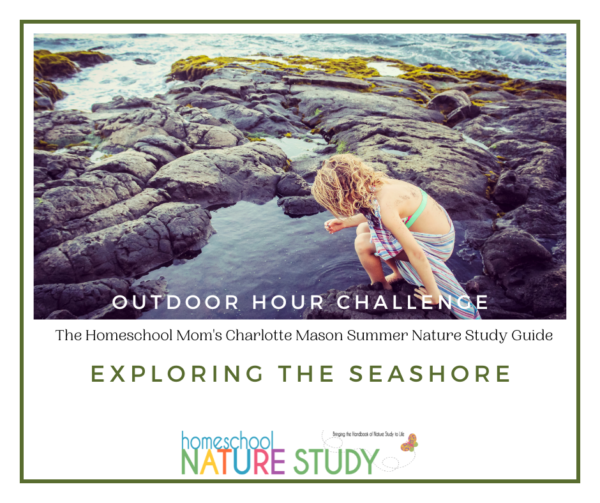 The Homeschool Mom's Charlotte Mason Summer Nature Study Guide ...