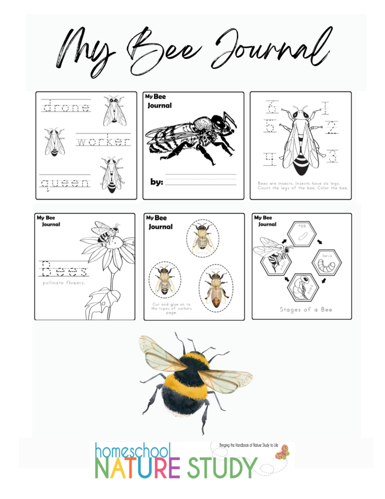 Posts - Homeschool Nature Study