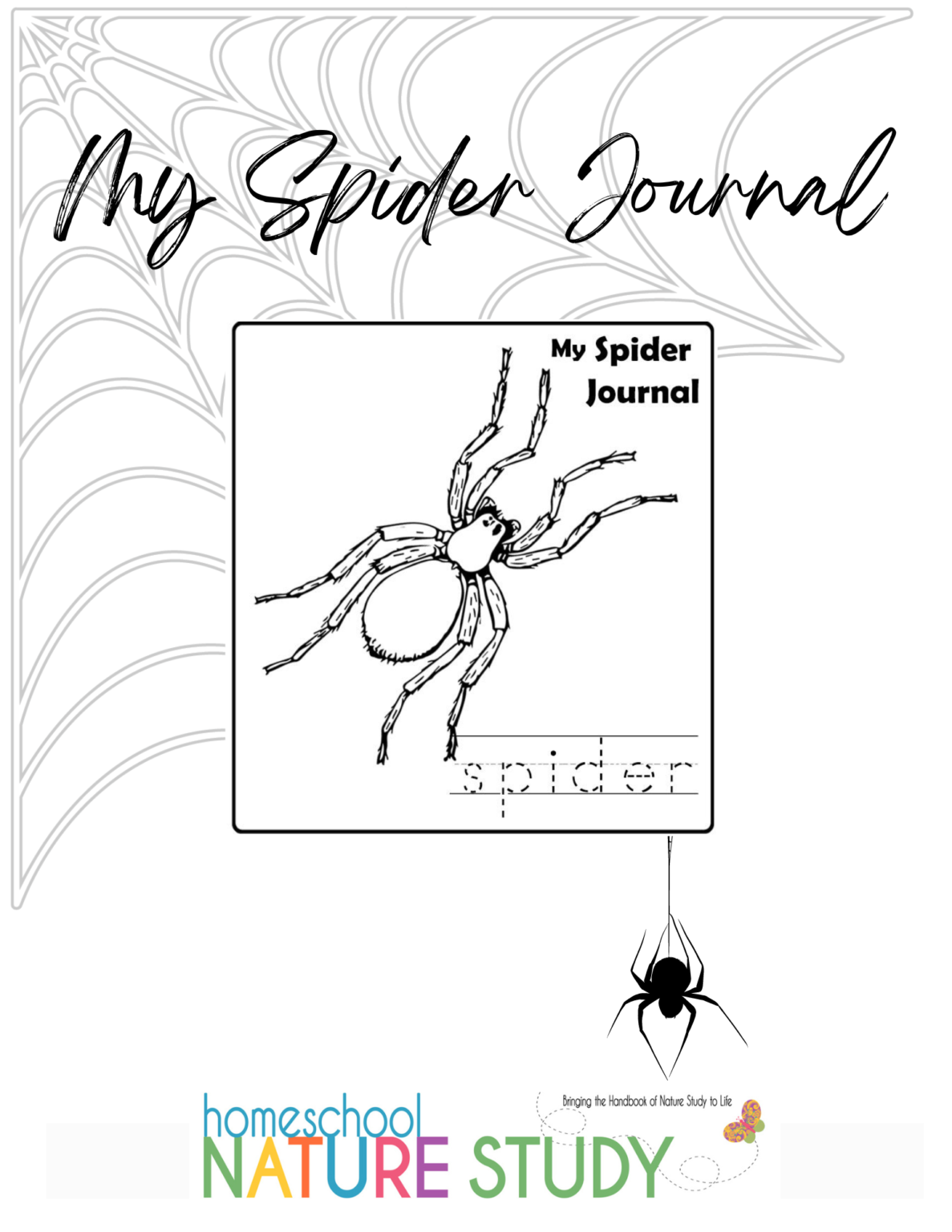 Posts - Homeschool Nature Study