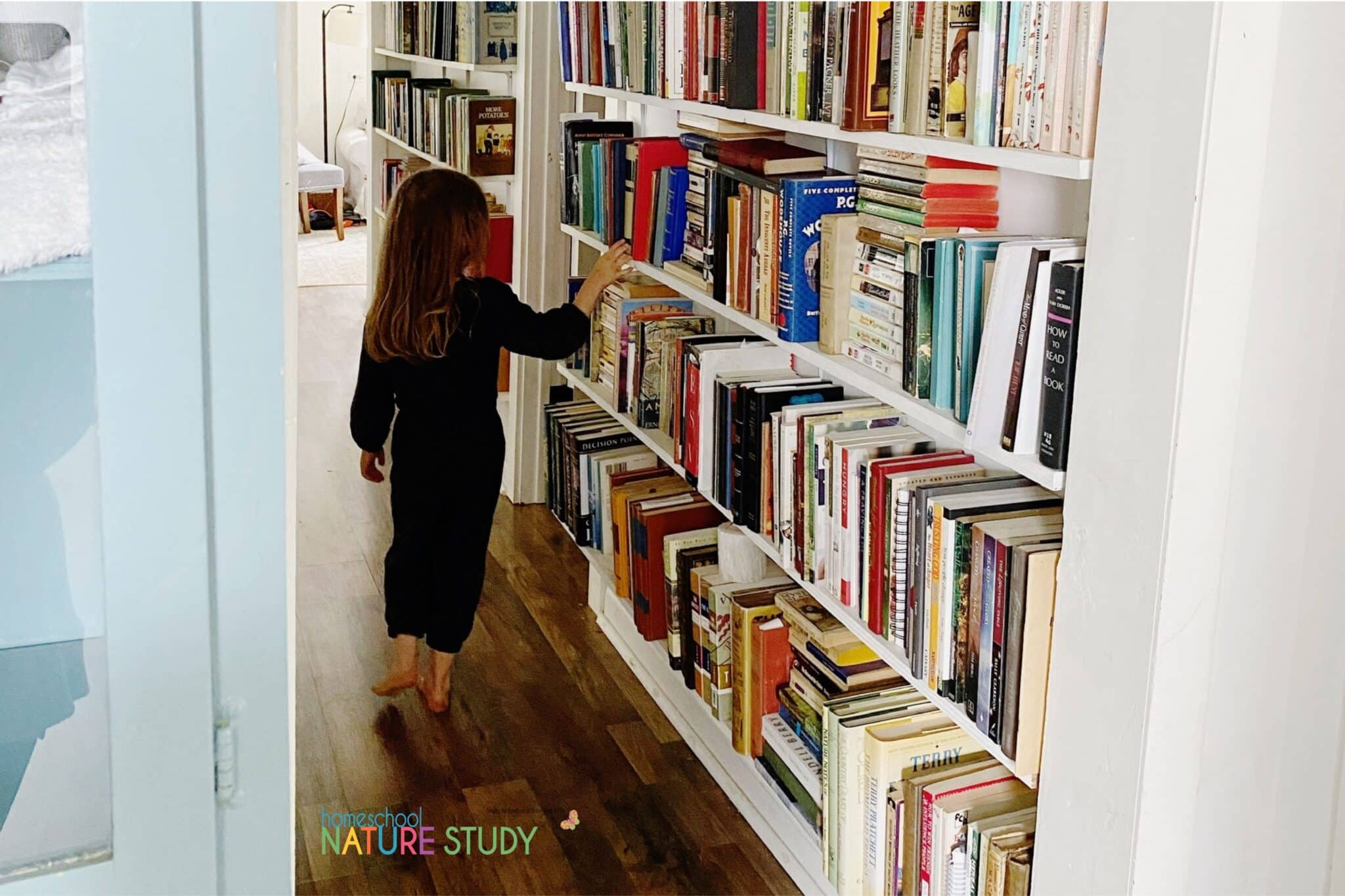 A Homeschool Mom's Best Tips for Organizing Your Nature Library ...