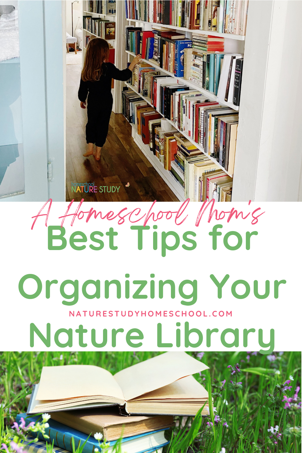 A Homeschool Mom's Best Tips for Organizing Your Nature Library ...