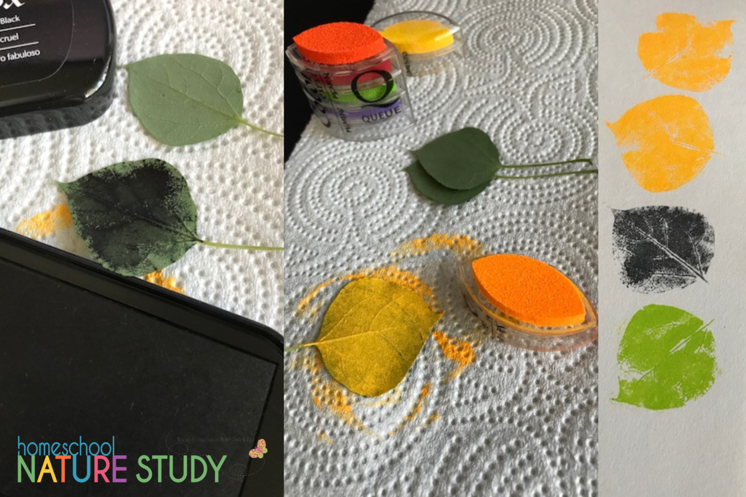Fall Leaf Activities For Kids: Nature Study For Learning And Fun ...