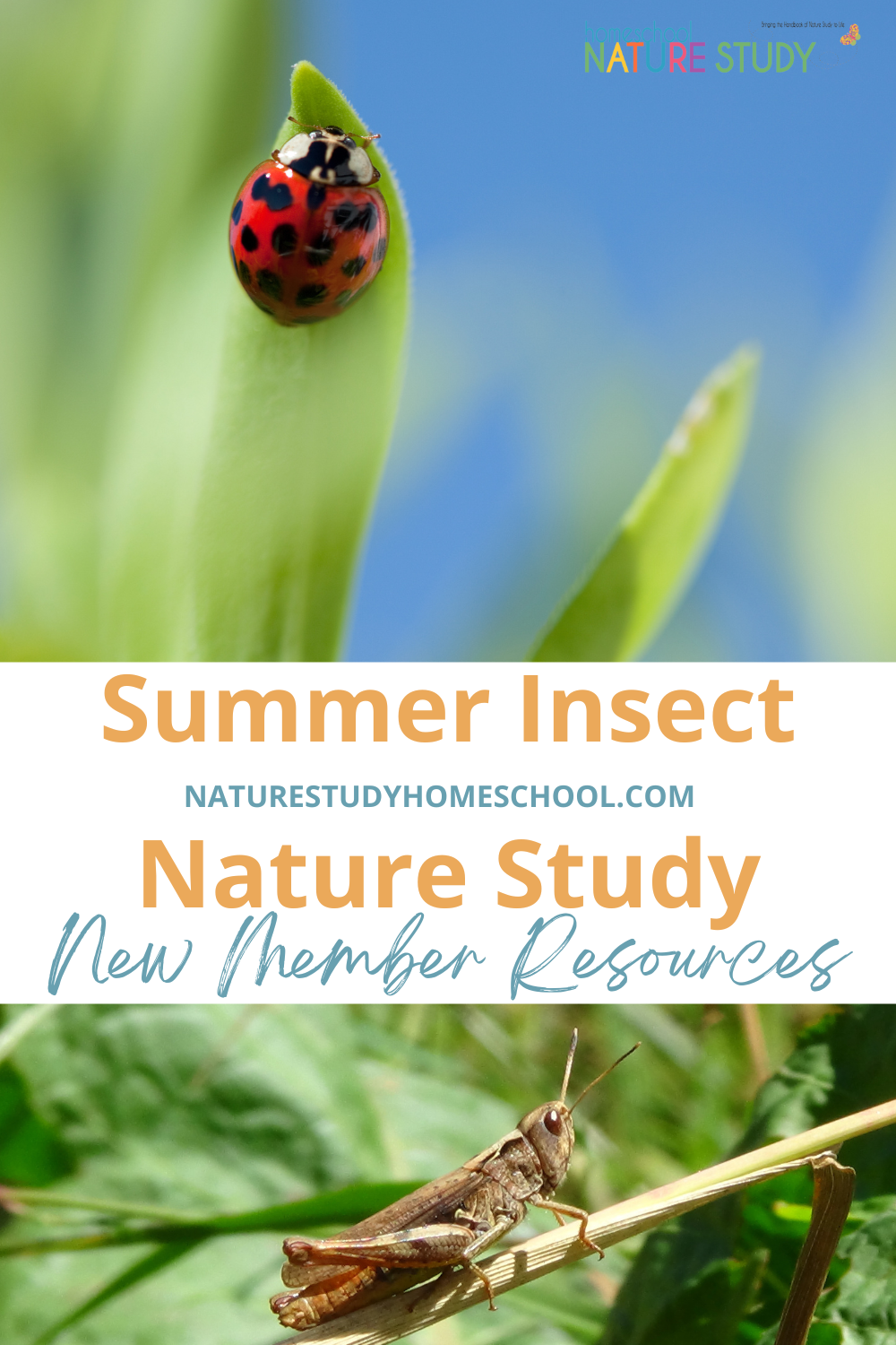 Posts - Homeschool Nature Study