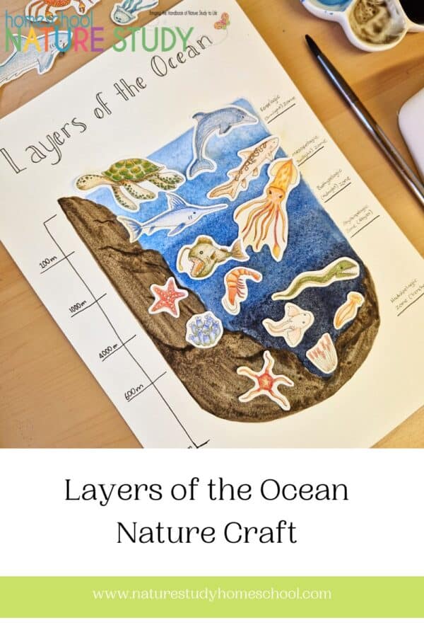 Posts - Homeschool Nature Study