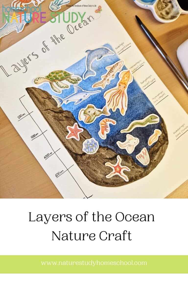 Posts - Homeschool Nature Study