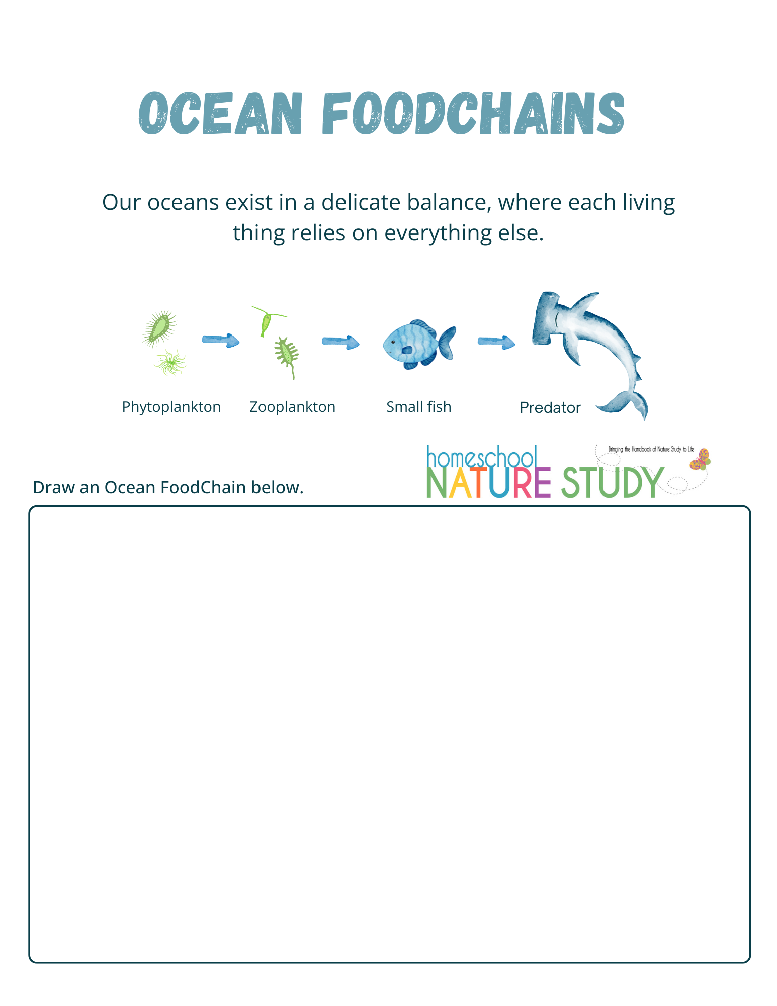 Posts - Homeschool Nature Study