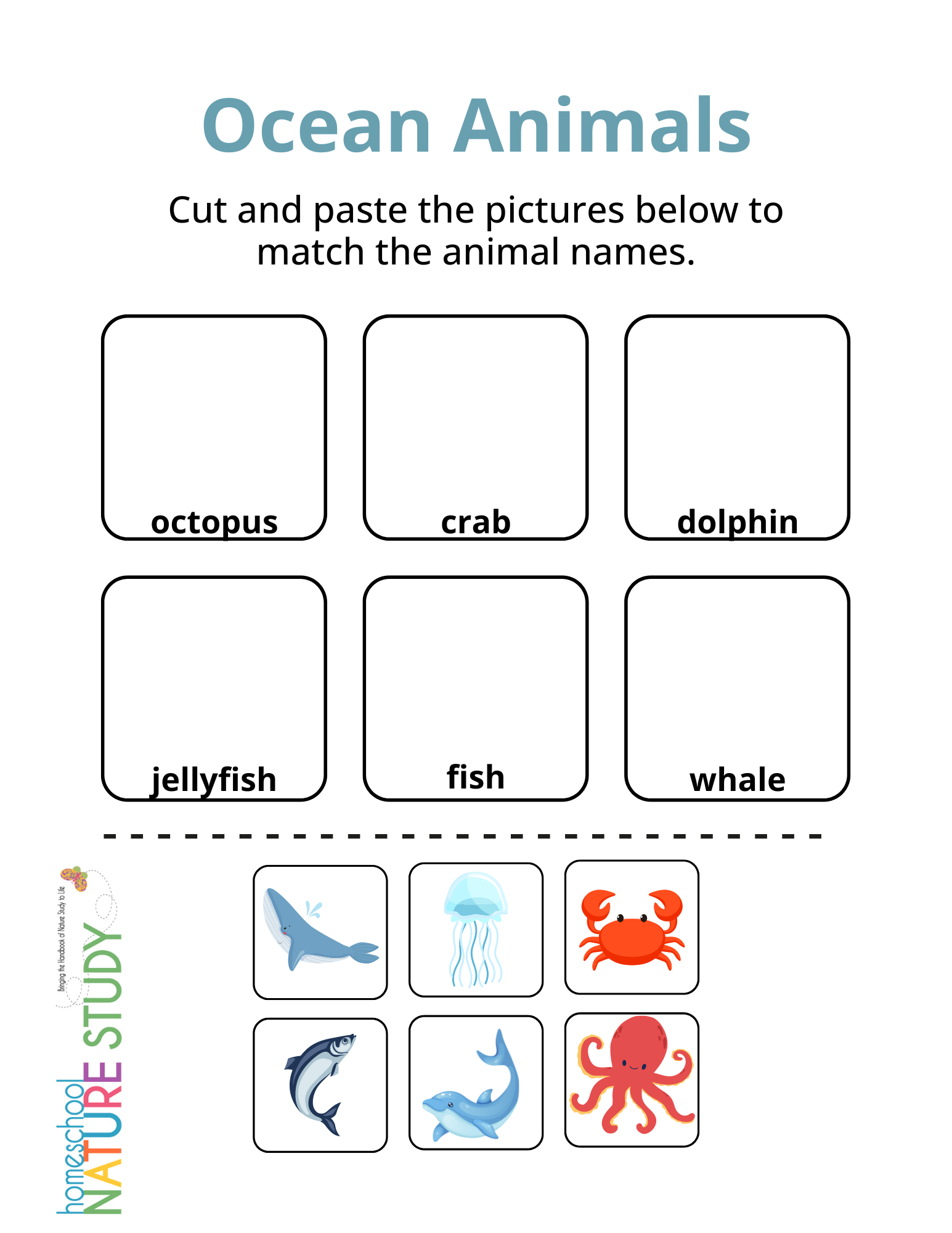 Posts - Homeschool Nature Study