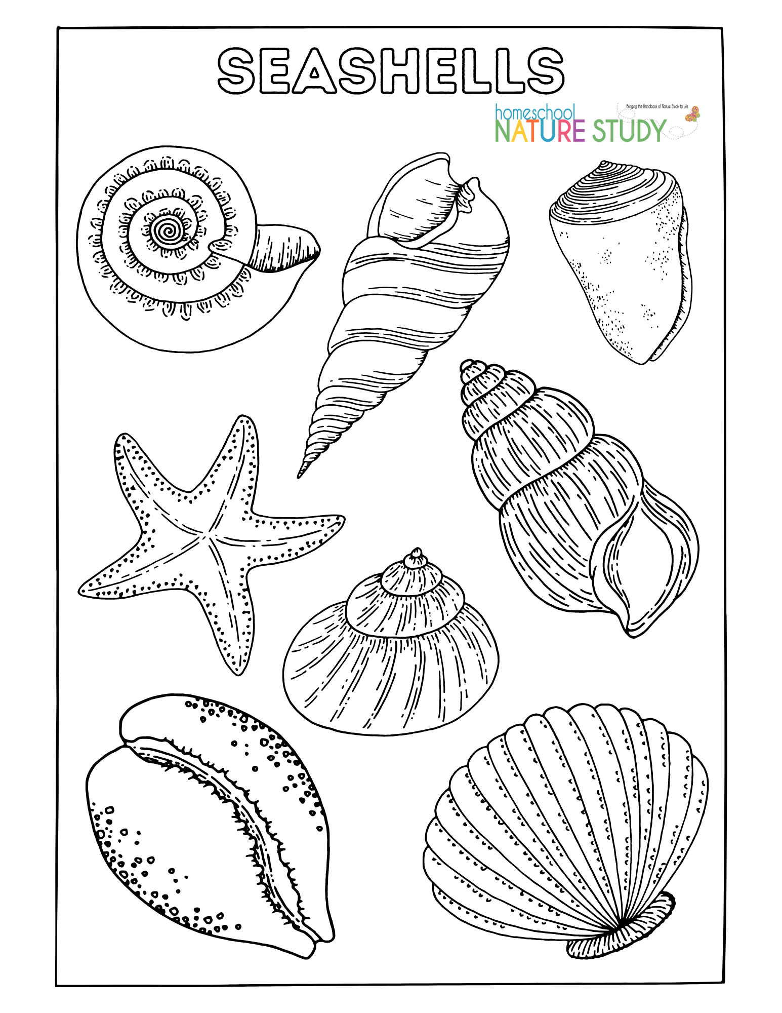 Posts - Homeschool Nature Study