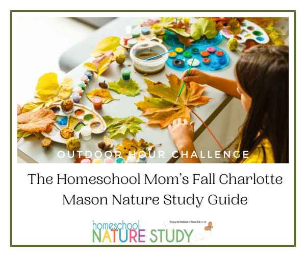 Fall Charlotte Mason Nature Study: The Homeschool Mom's Guide ...