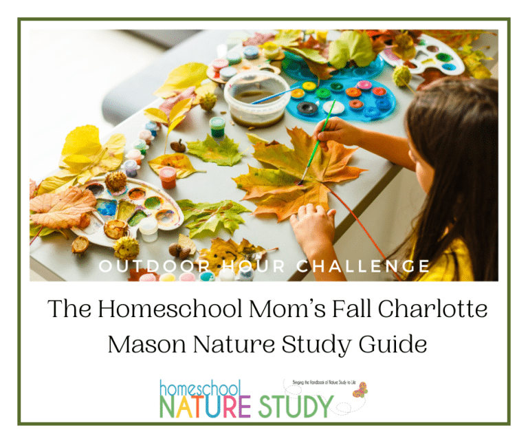 Posts - Homeschool Nature Study