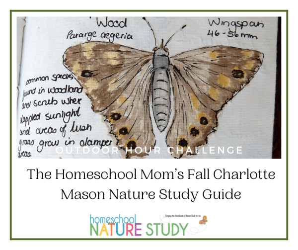 Fall Charlotte Mason Nature Study: The Homeschool Mom's Guide ...
