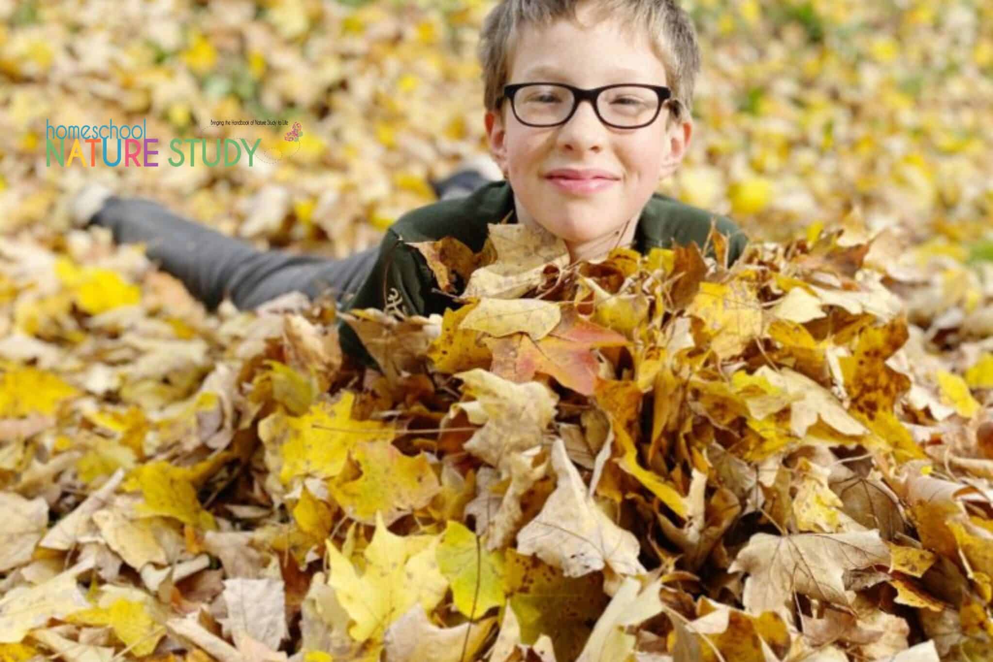 Fall Leaf Activities For Kids: Nature Study For Learning And Fun ...