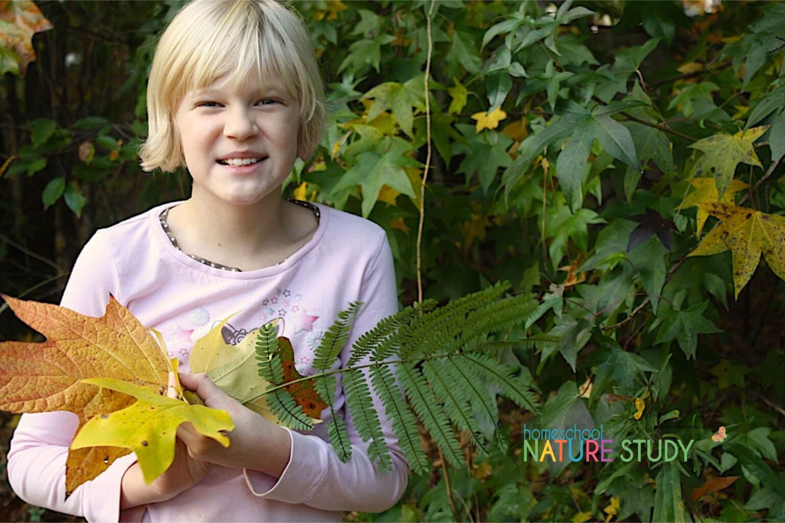 Fall Leaf Activities For Kids: Nature Study For Learning And Fun ...