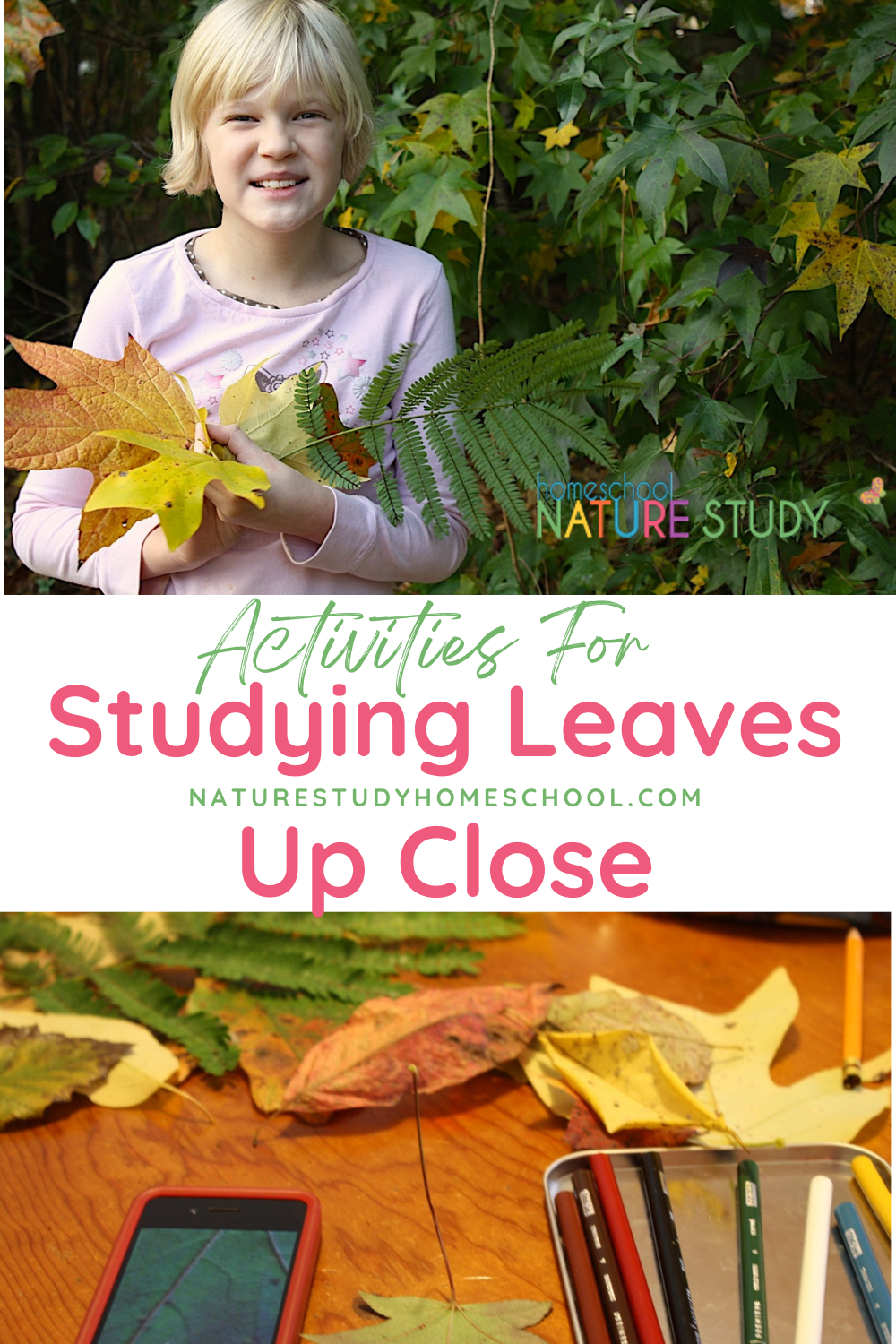 Fall Leaf Activities For Kids: Nature Study For Learning And Fun ...