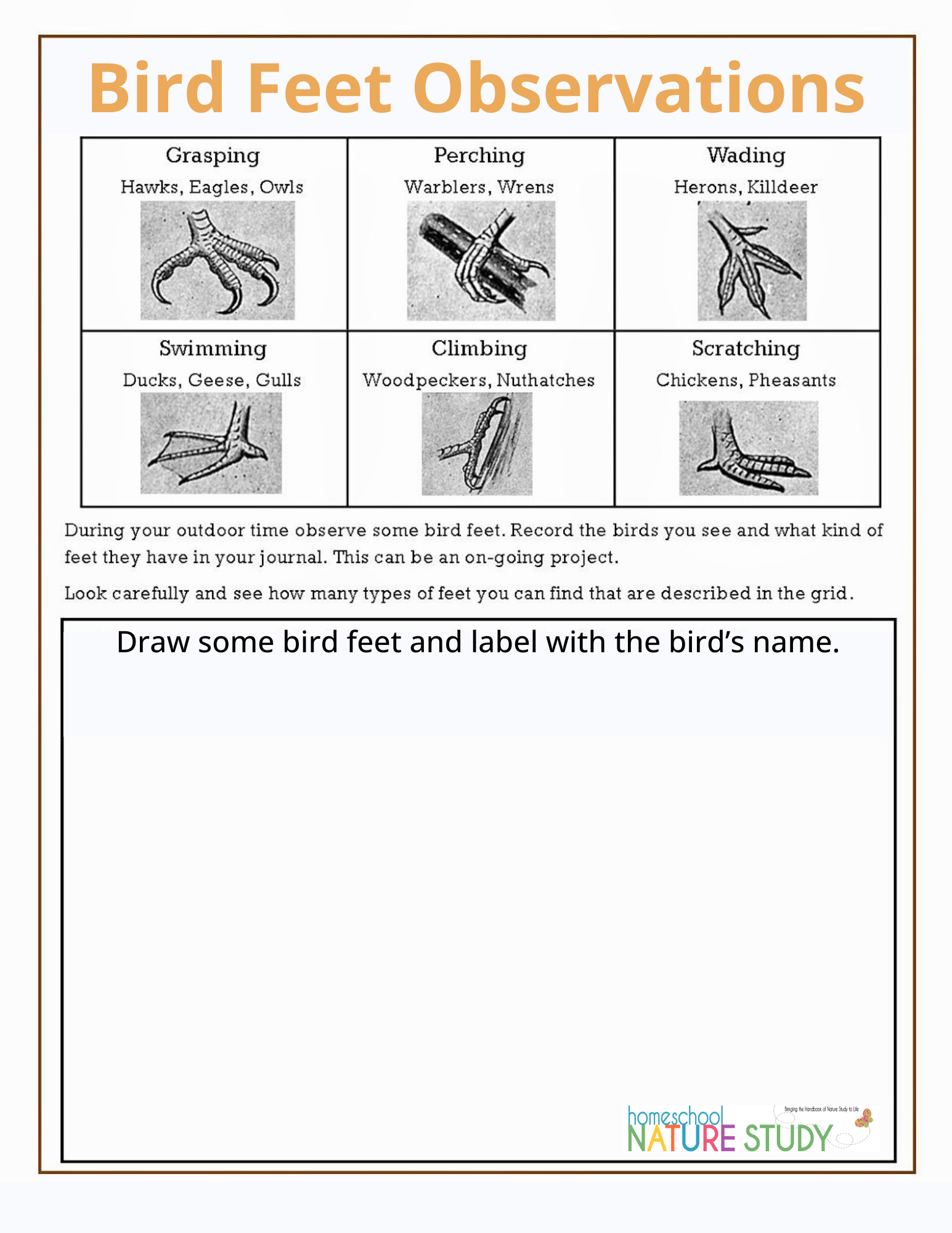Backyard Birds Archives - Homeschool Nature Study