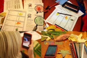 Fall Leaf Activities For Kids: Nature Study For Learning And Fun ...