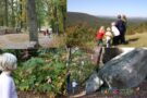 Fall Leaf Activities For Kids: Nature Study For Learning And Fun ...