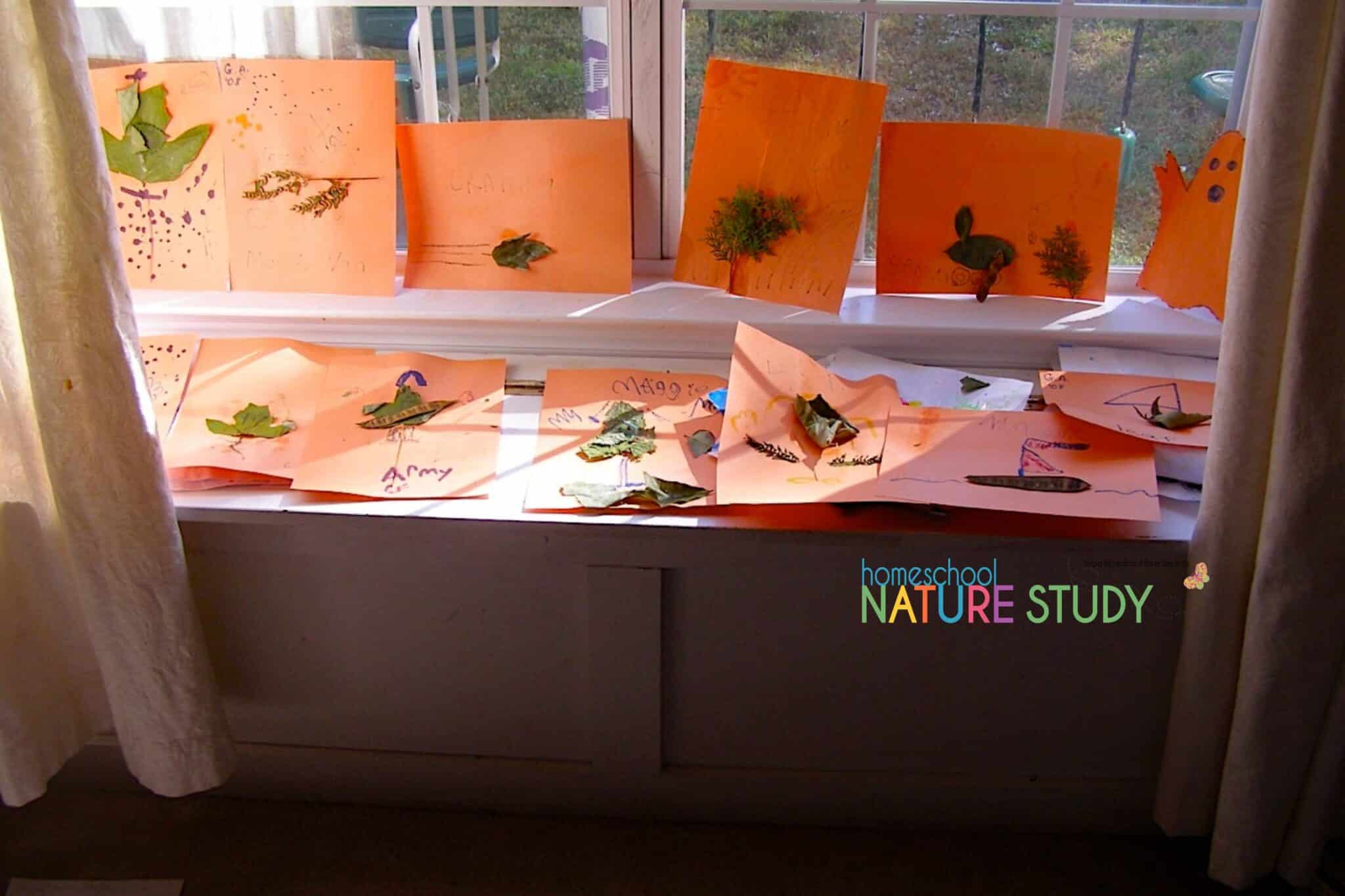 Posts - Homeschool Nature Study