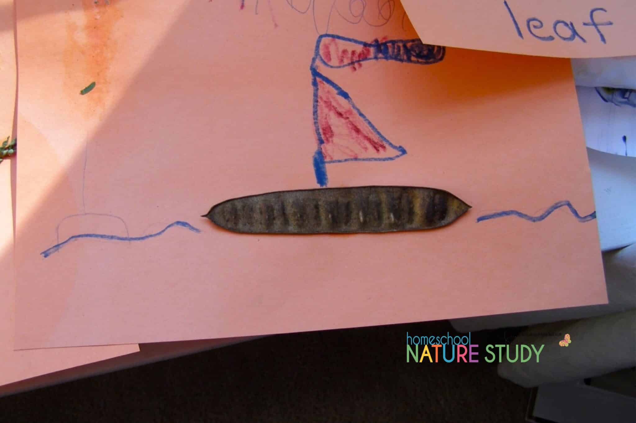 Leaf Art Nature Walk Activity - Homeschool Nature Study
