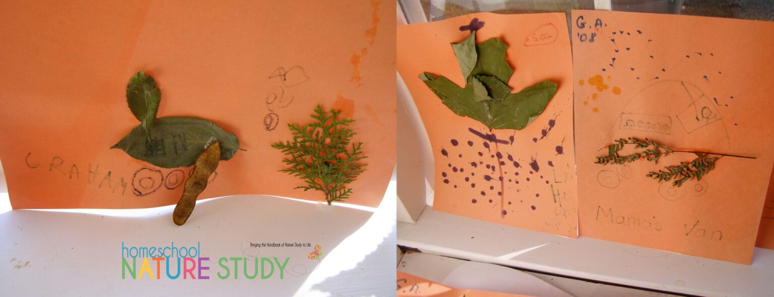 Leaf Art Nature Walk Activity - Homeschool Nature Study