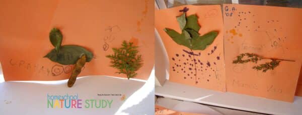 Posts - Homeschool Nature Study
