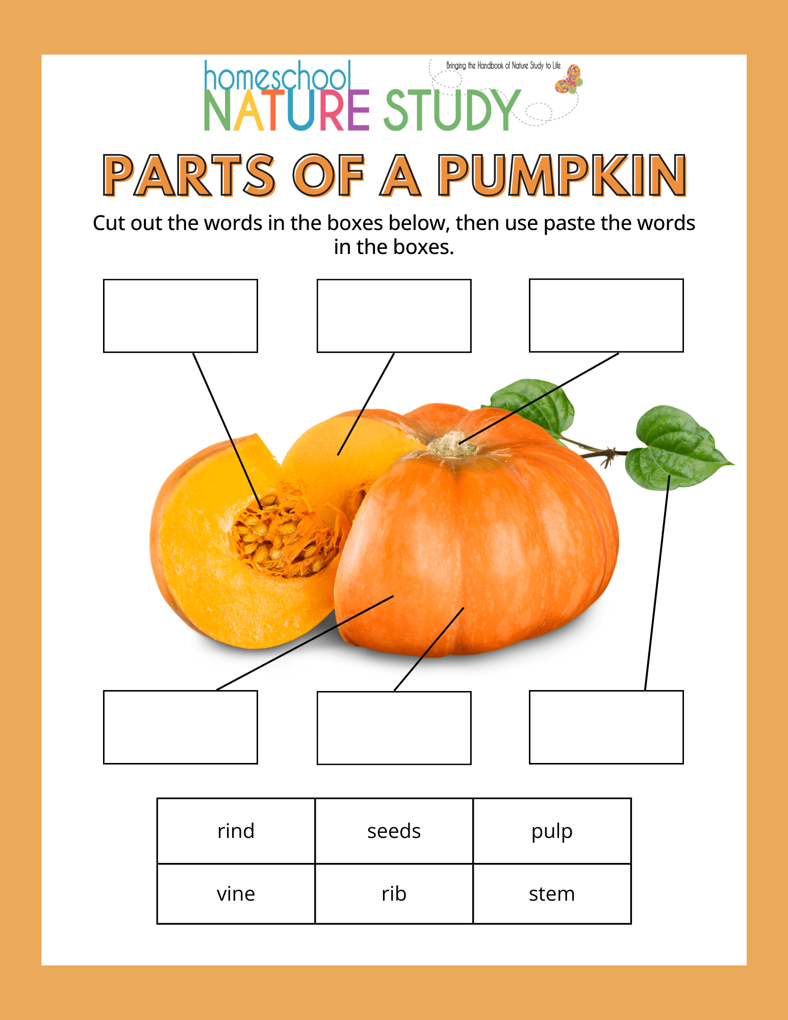 Pumpkin Homeschool Activities and Fun Facts - Homeschool Nature Study