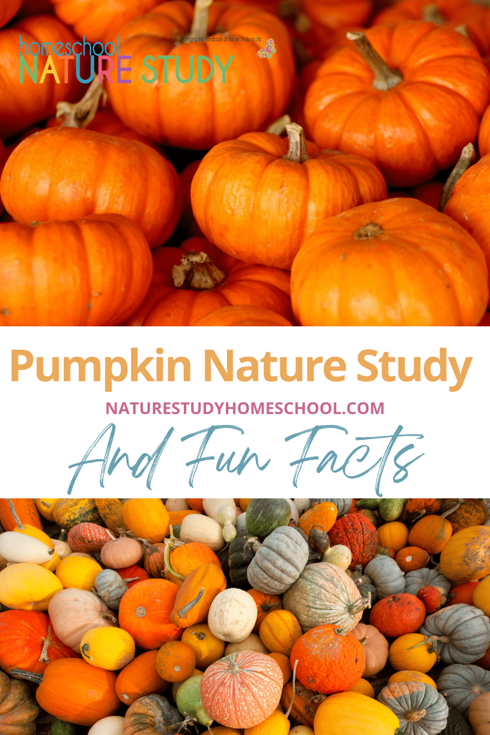 Pumpkin Homeschool Activities and Fun Facts - Homeschool Nature Study