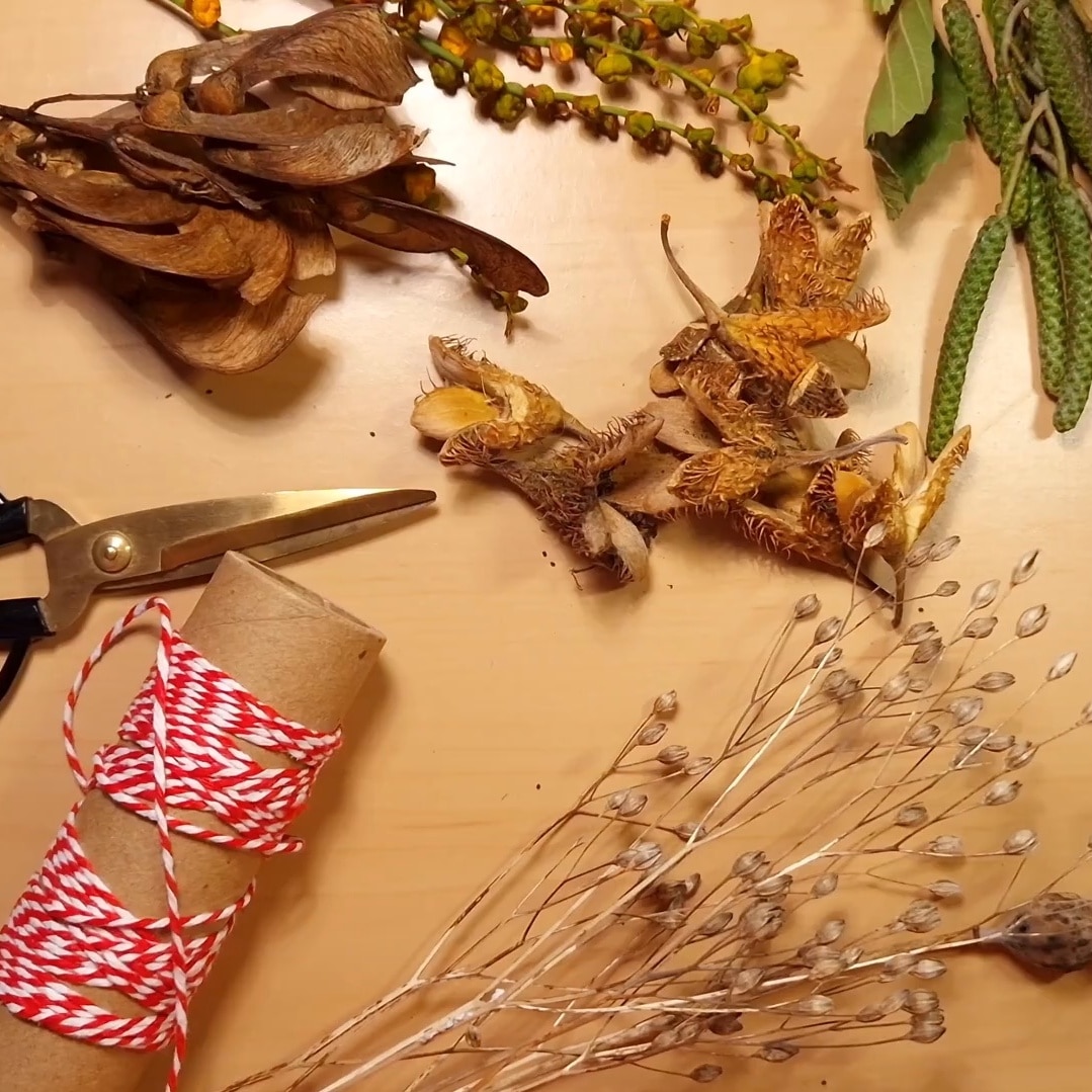 Fall Nature Study Ideas for Preschoolers and Toddlers - Homeschool ...