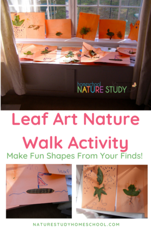 Posts - Homeschool Nature Study
