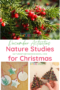 December Nature Study Activities for the Christmas Season - Homeschool ...